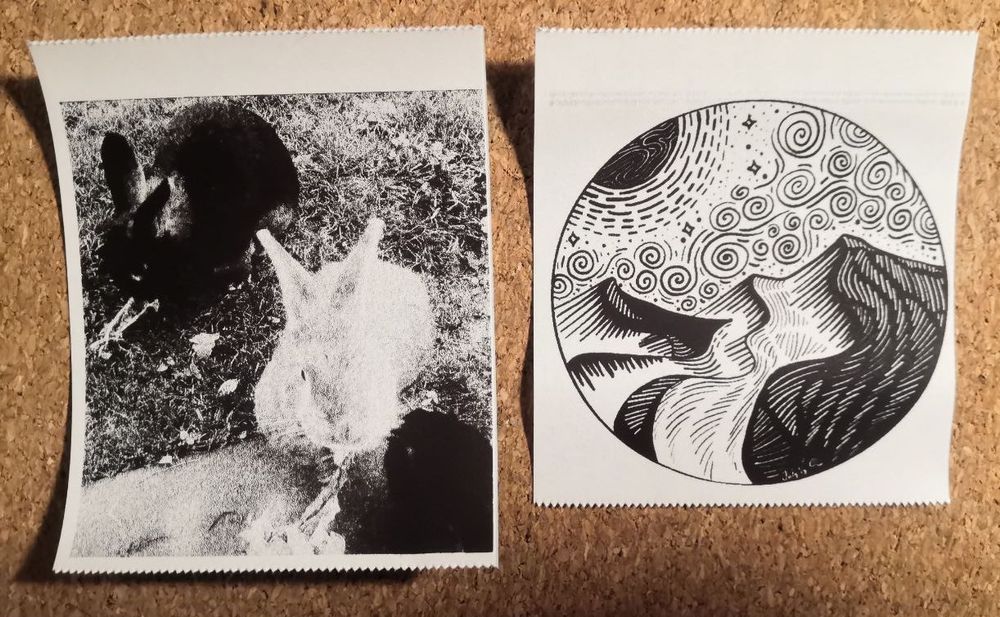 Pooli Printer L2 300dpi (Gebraucht) in Zürich für CHF 20 – mit ...