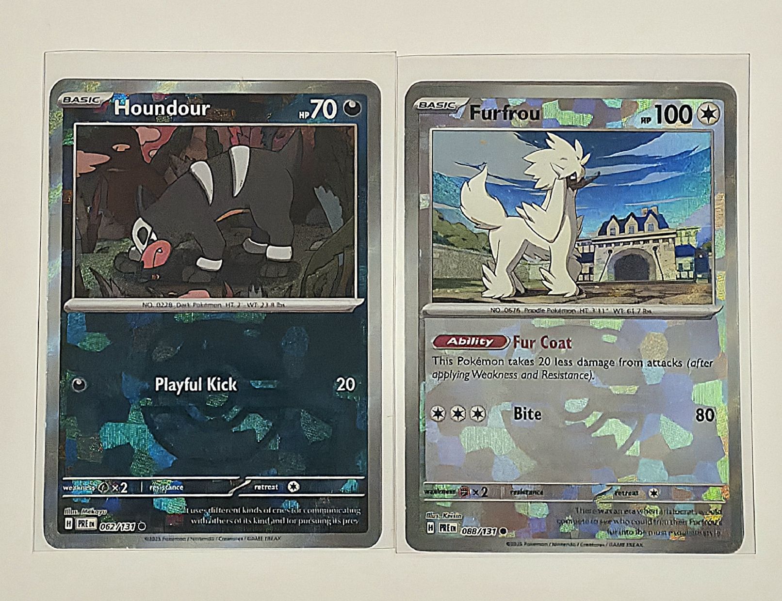 Pokémon - Houndour + Furfrou - Masterball (Neu (gemäss Beschreibung ...