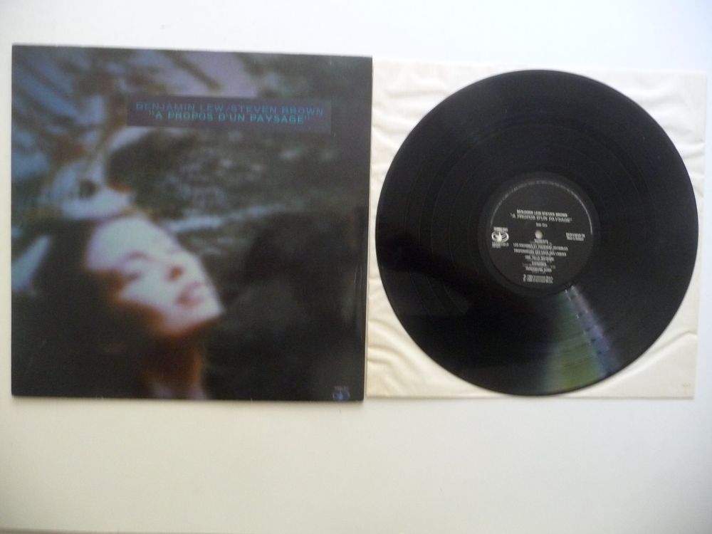 LP BENJAMIN LEW/STEVEN BROWN - A PROPOS D'UN PAYSAGE (Gebraucht) in ...