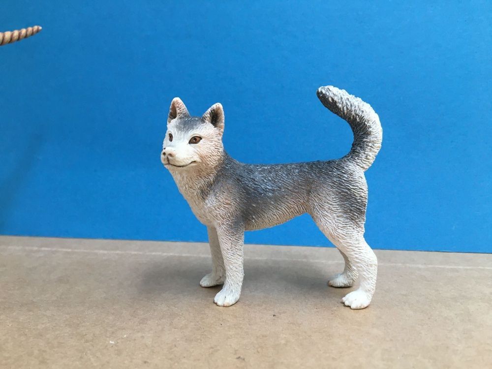 Schleich 16372 Husky Hündin Hund (Gebraucht) in Ennetbaden für CHF 12 – mit Lieferung auf ...
