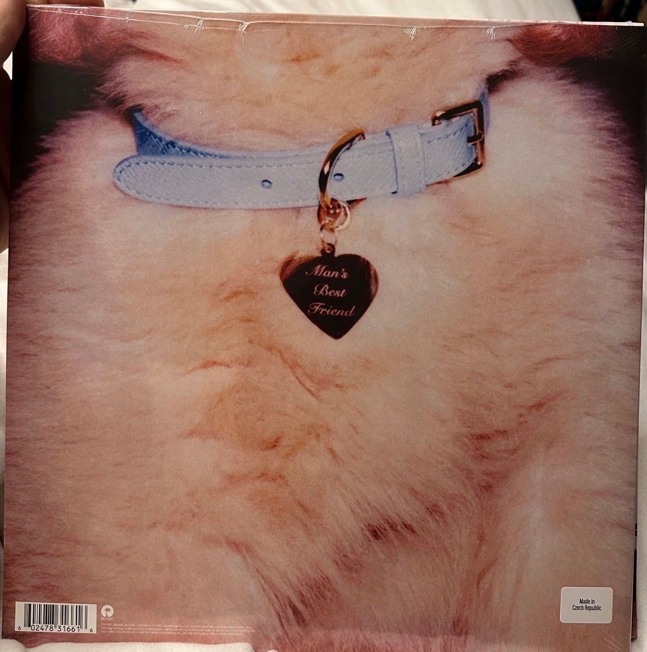 Sabrina Carpenter man‘s best Friend Big Signed Card Vinyl (Neu und ...