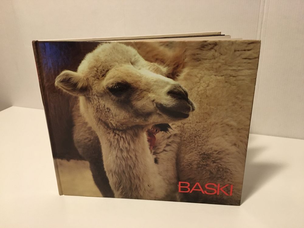 BASKI im Zoo - Bilderbuch - Heinrich Gohl - Magnum Verlag (Gebraucht ...