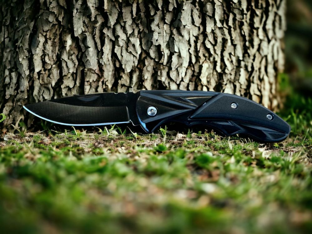 Régiment de Royal Roussillon Klappmesser Messer 16cm NEU (Neu und ...