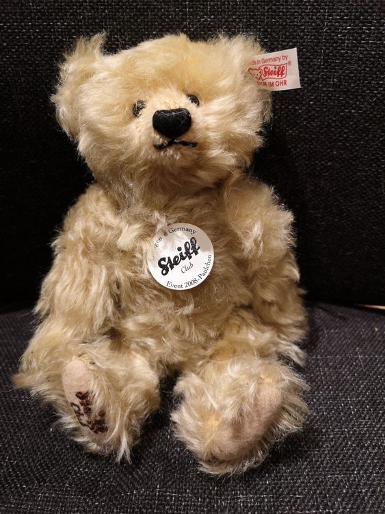 Steiff Bär ( 256) (Gebraucht) in Elsau für CHF 22 – mit Lieferung auf ...