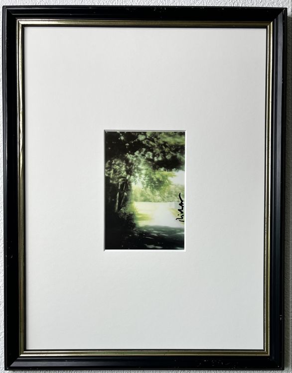Gerhard Richter, handsigniert (Gebraucht) in St. Gallen für CHF 199 ...
