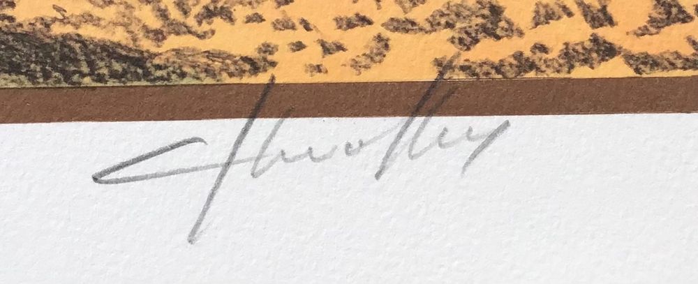 Claude CHEVALLEY (1944) Lithographie Handsigniert (Gebraucht) in Root ...