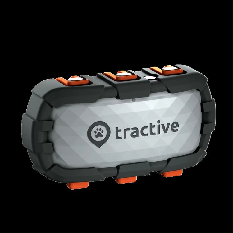 Tractive Dog XL Adventure Edition (Neu und originalverpackt) in ...