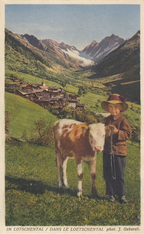 Lötschental VS - Junge mit seinem Kalb ca. 1943 (Gebraucht) in ...