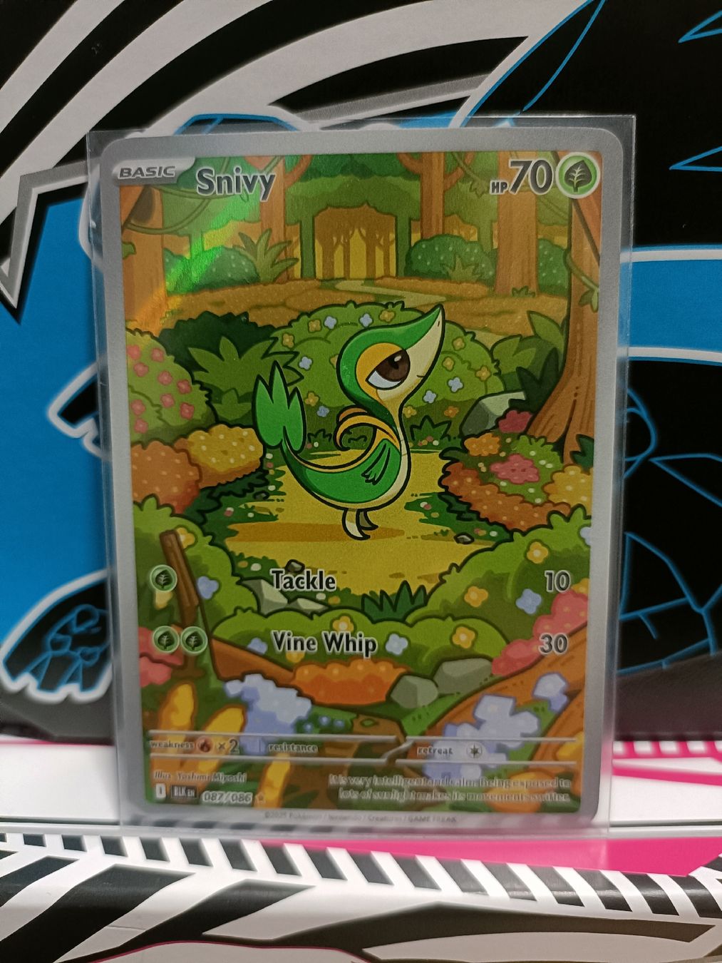 Snivy AR (Black bolt) ab 1CHF!!! (Neu (gemäss Beschreibung)) in Zürich ...