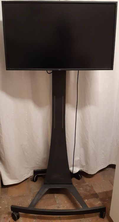 NEC MultiSync P402 Monitor + Standfuss (Gebraucht) in Wabern für CHF ...