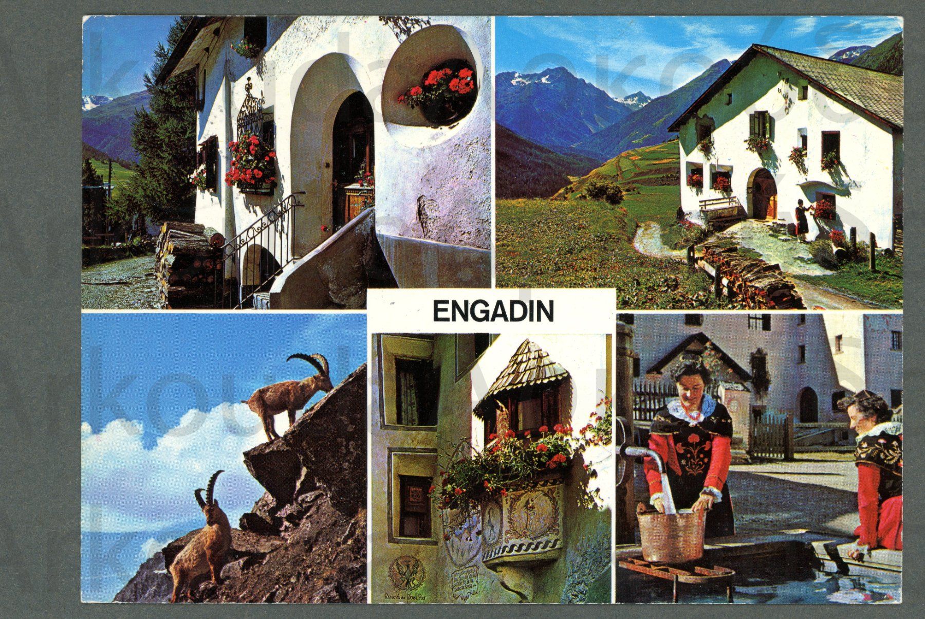 AK color Engadin GR 5- Bild belebt ≈ 1975 (Gebraucht) in Basel für CHF ...