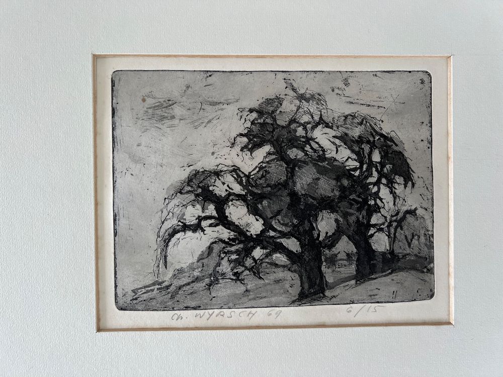 Charles Wyrsch, handsigniert, nummeriert (Gebraucht) in Rain für CHF 49 – mit Lieferung auf ...