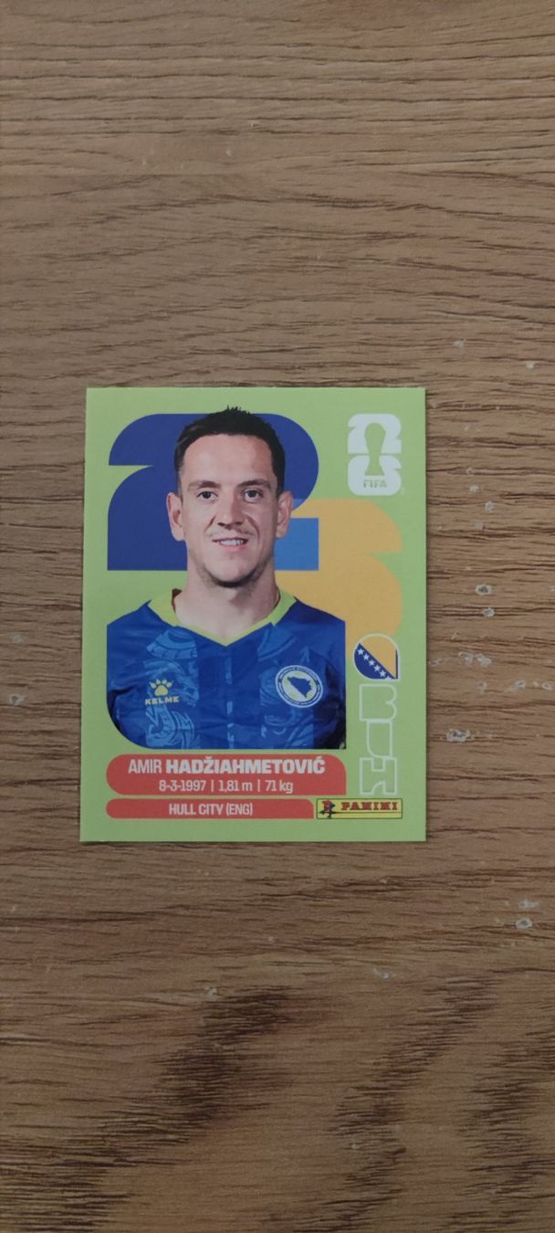 Panini FIFA World Cup 2026 Sticker - BIH 8 - Amir H. (Neu und ...