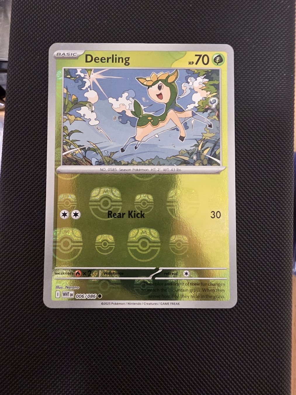 Pokémon TCG – WHT Deerling Masterball Reverse 006/086 🇺🇸 (Gebraucht) in ...