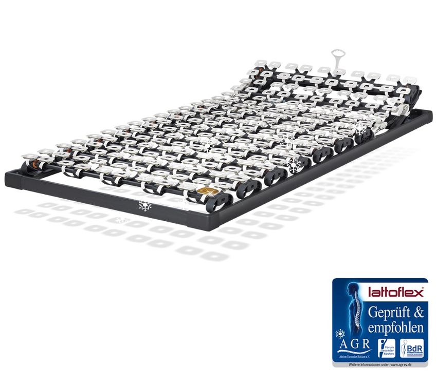 Lattoflex Lattenrost 90x200 Preis