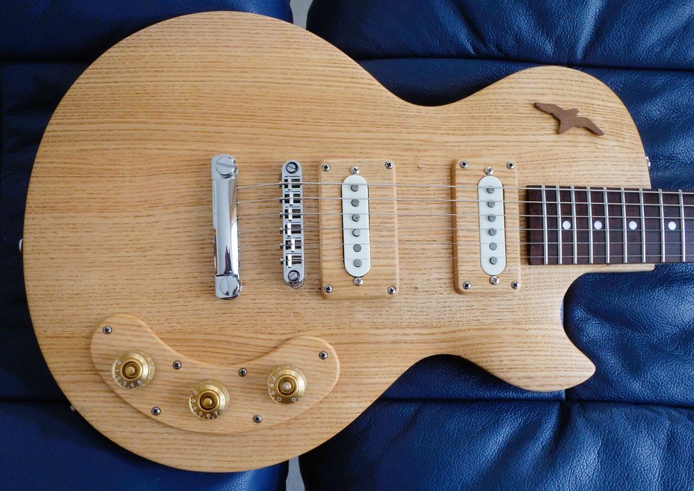 E-Gitarre LES PAUL mit Single Coil + Locking Tuner (Unikat) | Kaufen ...