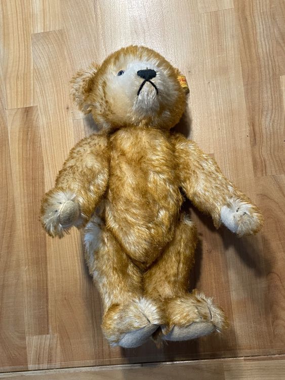 Steiff Teddy Bär ( mit Ton ) (Gebraucht) in Rümlang für CHF 22 – mit ...