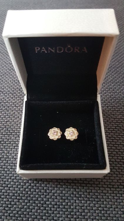 Pandora Ohrstecker Blumen | Kaufen auf Ricardo