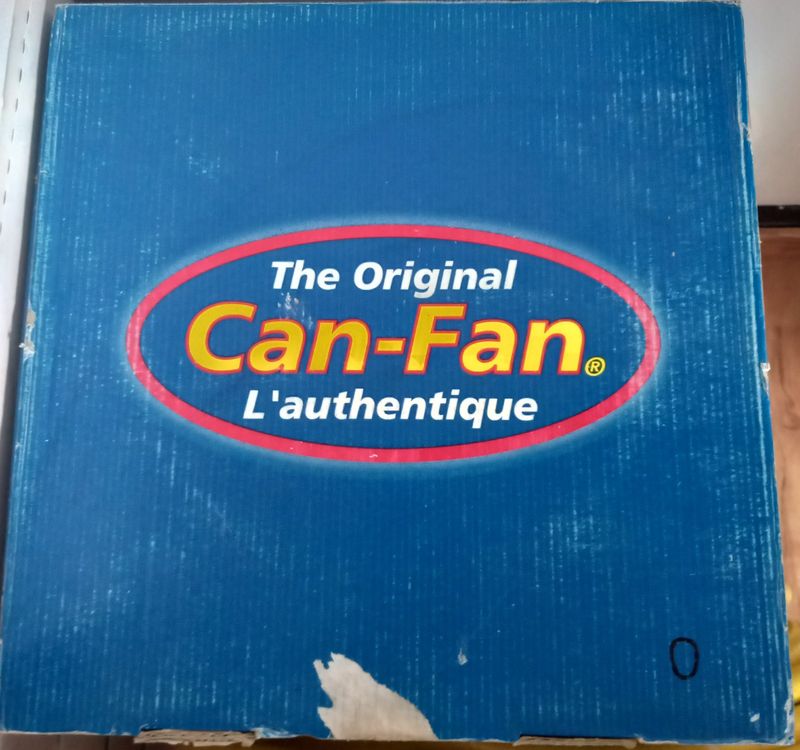 Can - Fan Rohrventilator RK 250LS 4-Stufen 1130m3 (Gebraucht) in ...