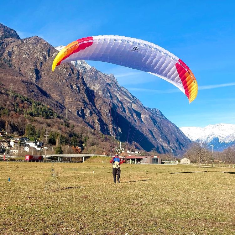 Phi Viola 2 (Gebraucht) in Luzern für CHF 1500 – nur Abholung auf Ricardo kaufen