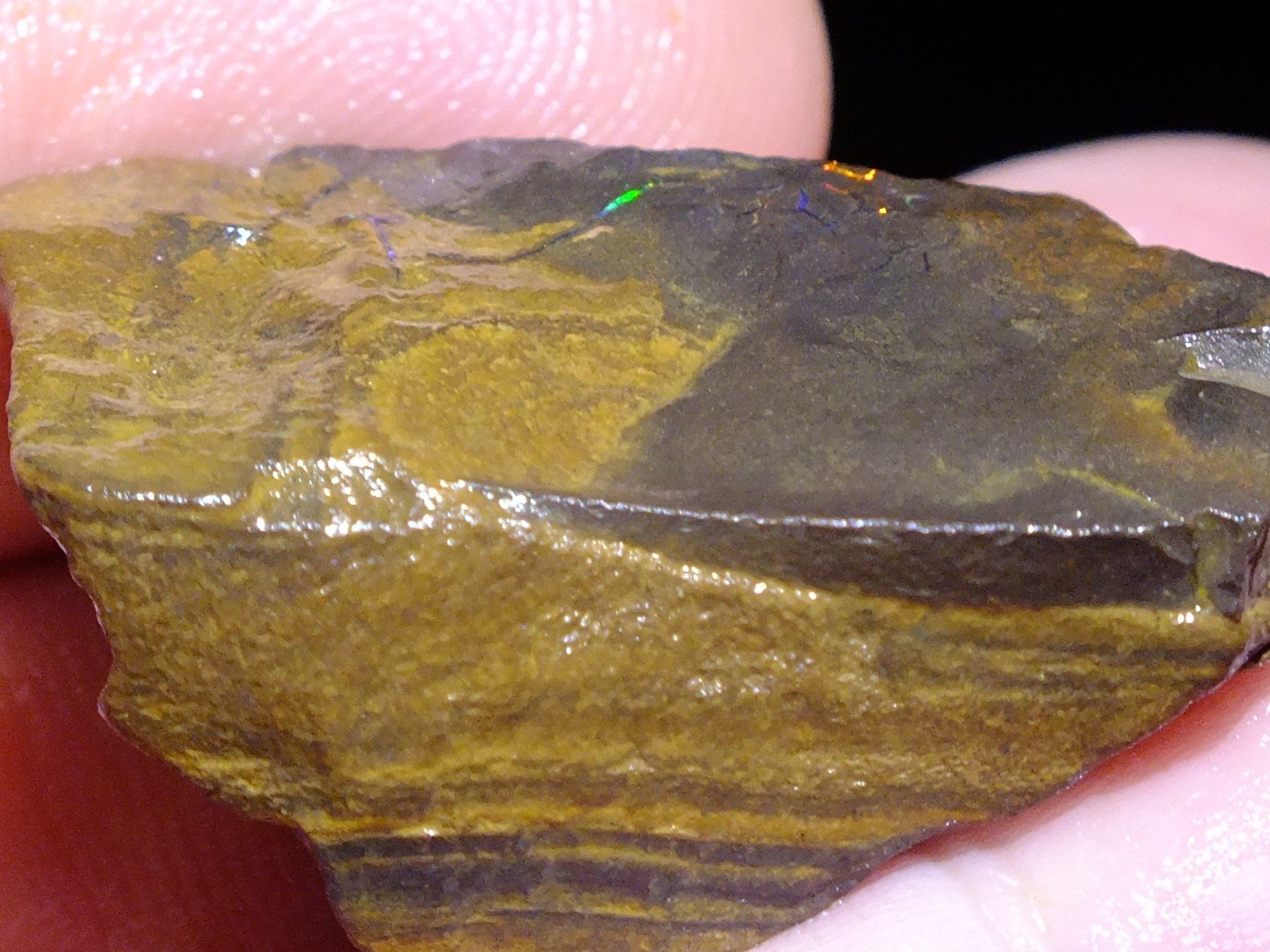 BOULDER ROH OPAL 72 Karat Gebot 1.- Elektrisch Pin feuer (Neu und ...