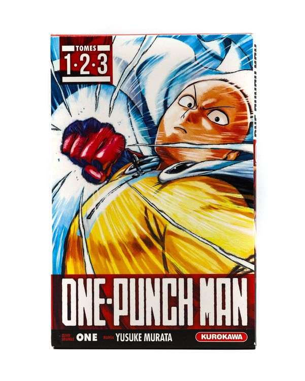 Coffret ONE-PUNCH MAN - tomes 1-2-3 - Manga - FR (Gebraucht) in Paudex ...