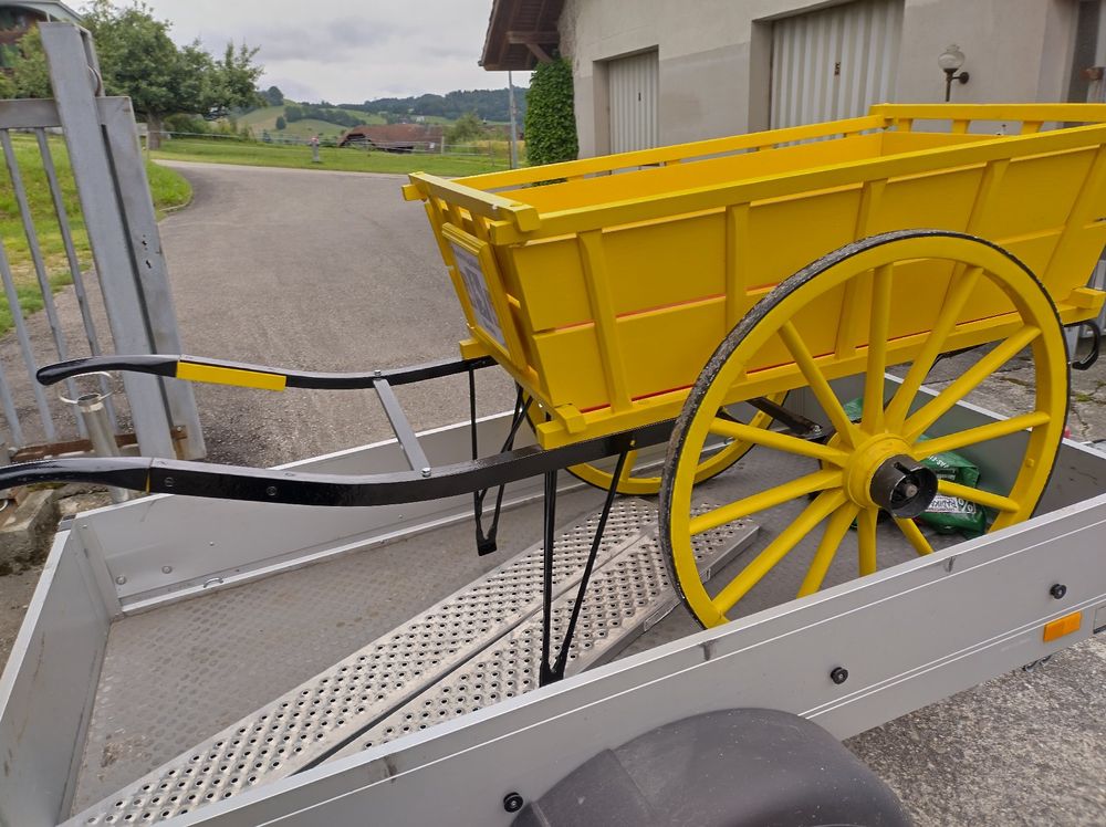 Postwagen (Gebraucht) in Altbüron für CHF 300 – nur Abholung auf ...