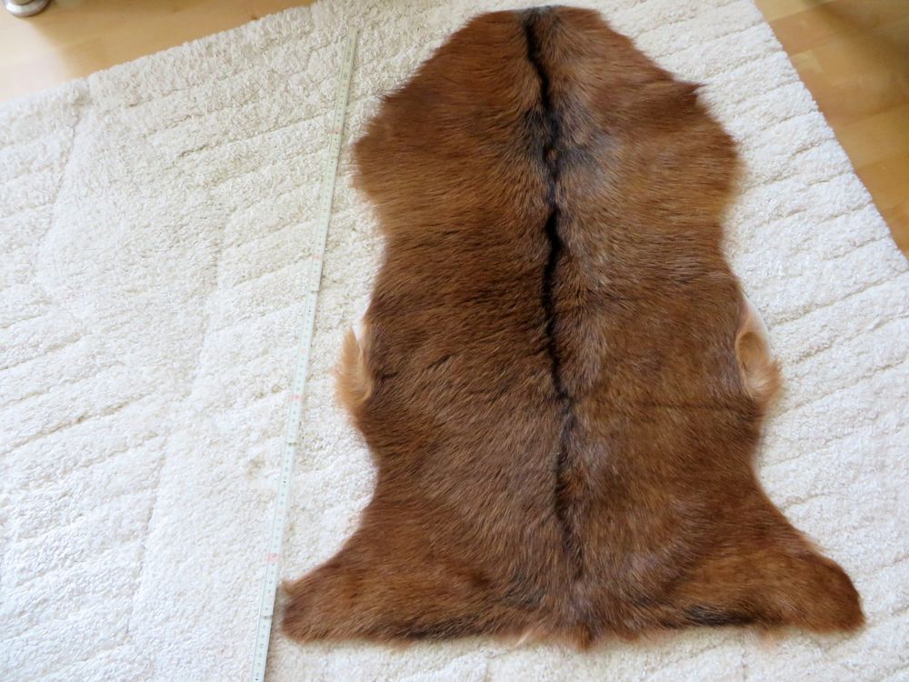 ziegenfell | Kaufen auf Ricardo