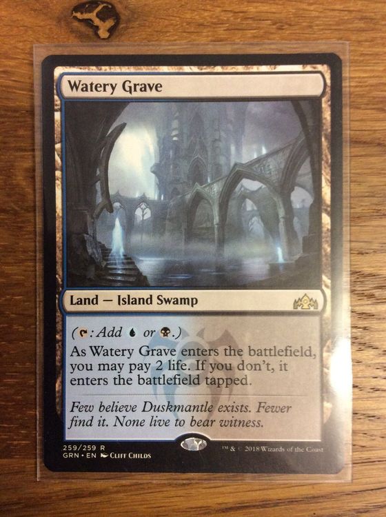 MTG - Watery Grave x1 (Neu (gemäss Beschreibung)) in Altdorf UR für CHF 19 – mit Lieferung auf ...
