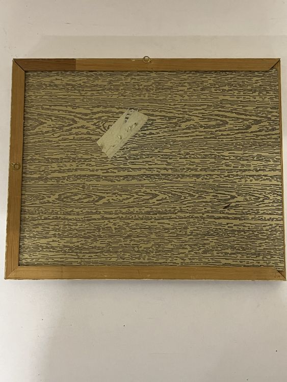 Antike Lithographie "Wiener Fuhrwerk",gerahmtes Bild (nik92) (Gebraucht ...