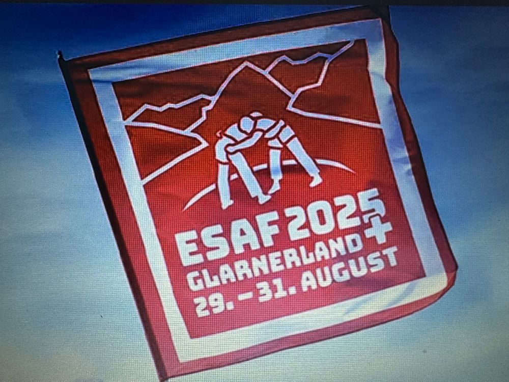 1x ESAF 2025 Samstagsticket Stehplatz Tribüne (Neu (gemäss Beschreibung)) in Willisau für CHF ...