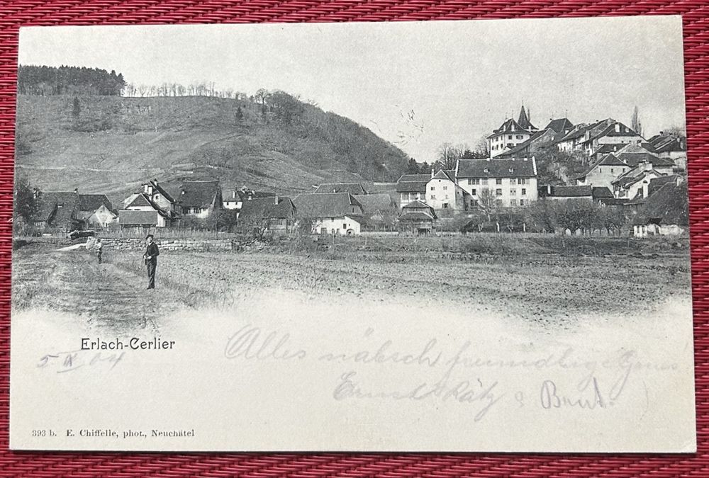 Erlach Cerlier 1904 (Gebraucht) in Horw für CHF 12 – mit Lieferung auf ...
