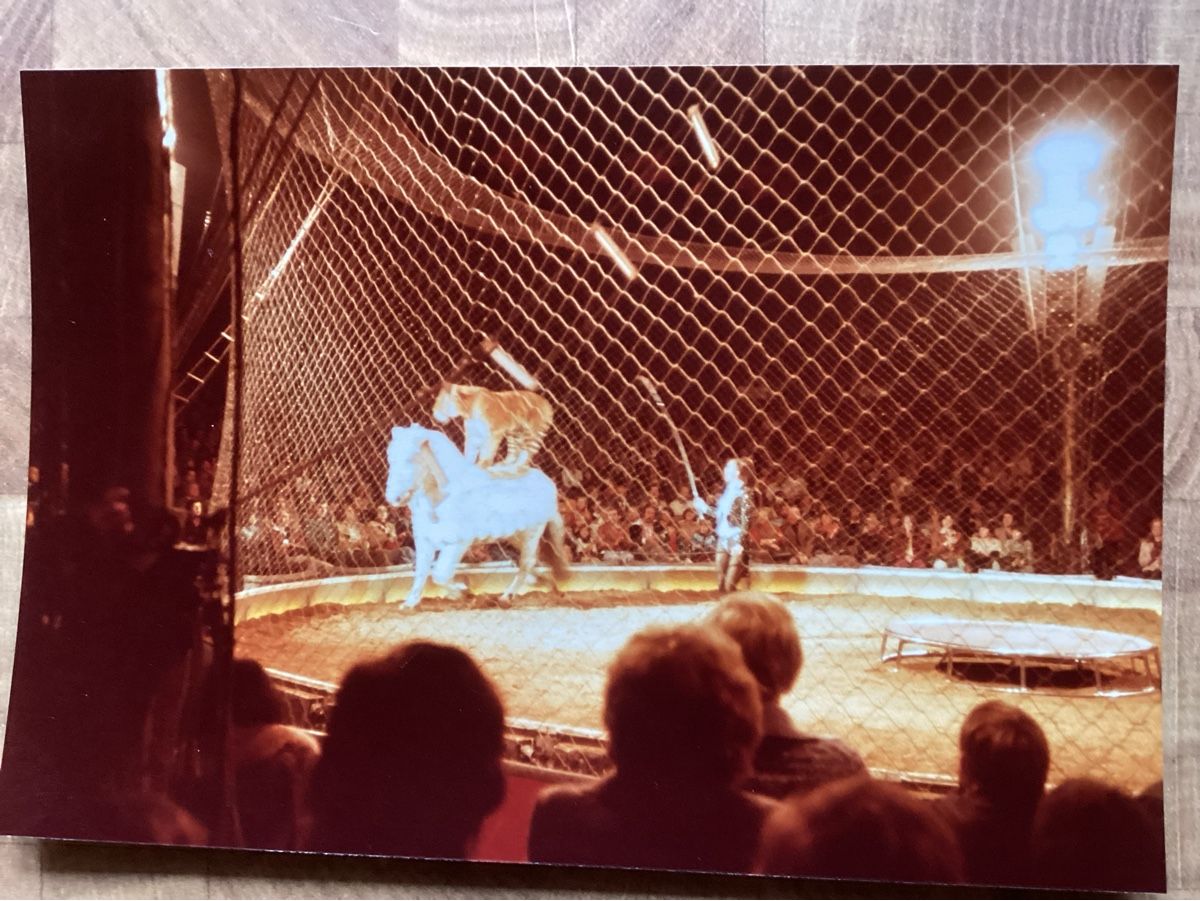 Circus Knie Foto 1978 (Gebraucht) in Reichenbach i. K. für CHF 1 – mit ...