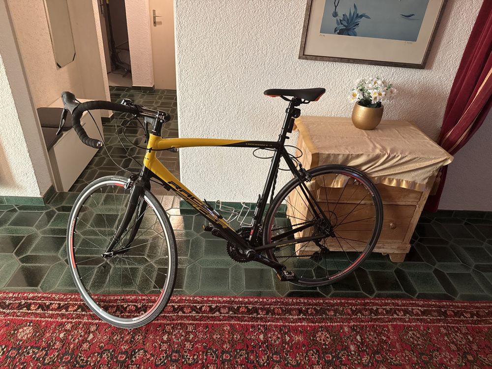 Raleigh Road Bike - Ready for Summer Adventures! 🚴‍♀️ 54 (Gebraucht) in ...