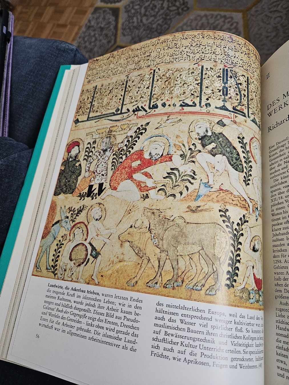 Welt des Islams - Spannendes Geschichtsbuch zu verkaufen! (Gebraucht ...