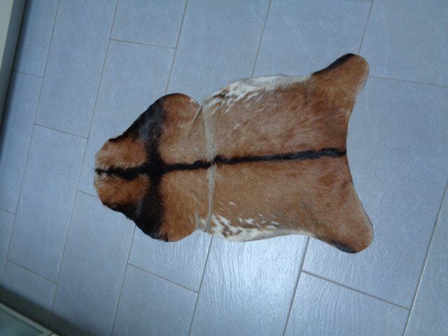 Ziegenfell Teppich | Kaufen auf Ricardo