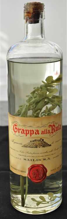 1 Fl.GRAPPA alla RUTA 100cl.Sailis S.A. Chiasso Ticino, alt! | Kaufen ...