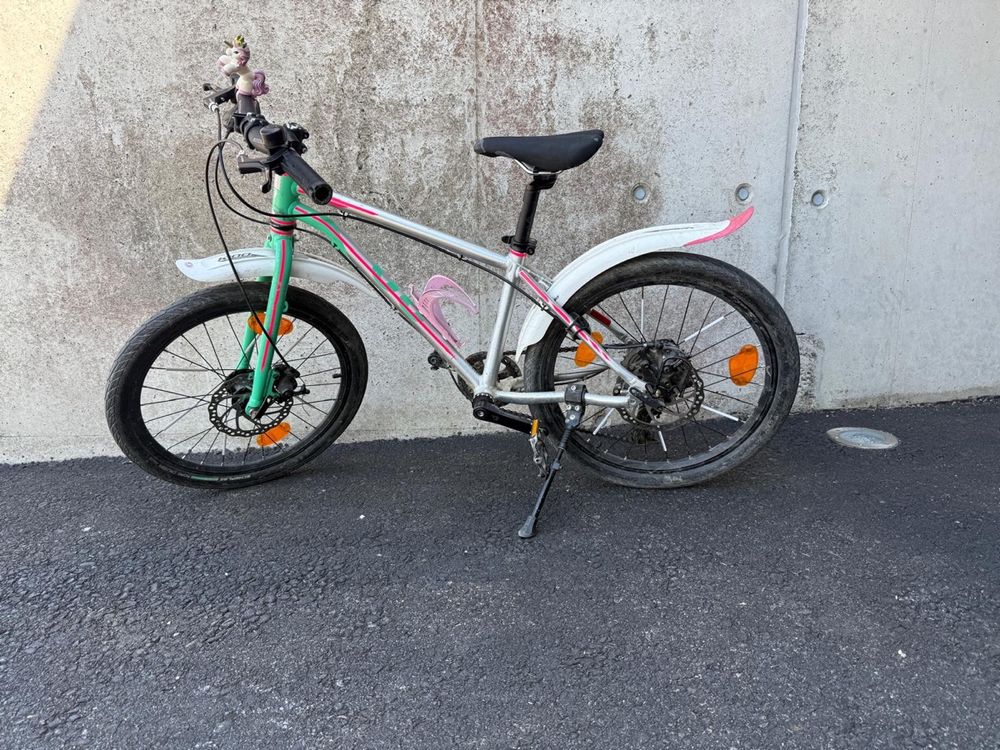 Early Rider, Kinder Velo , 20 Zoll, Top Zustand (Gebraucht) in Barzheim ...