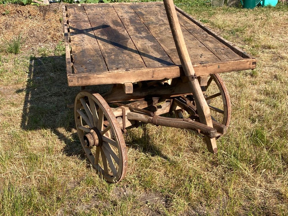 Brückenwagen / Handkarren (Gebraucht) in Neuenhof für CHF 85 – nur ...