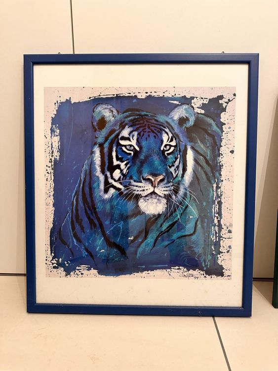 Rolf Knie Bild Tiger (Gebraucht) in Schafisheim für CHF 10 – nur Abholung auf Ricardo kaufen