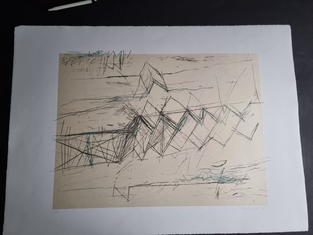 IRÈNE WYDLER ORIGINAL GRAFIK SIGNIERT NUMMERIERT BLATT 1/60 | Kaufen ...