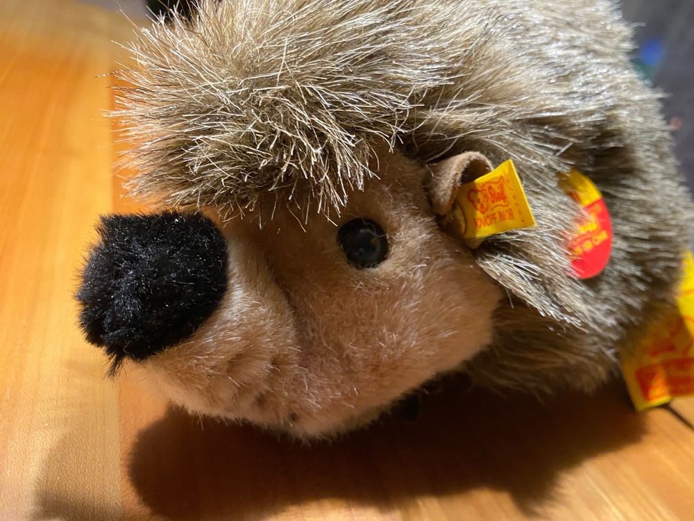 Steiff Igel Joggi (Gebraucht) in Wittwil für CHF 22 – mit Lieferung auf ...