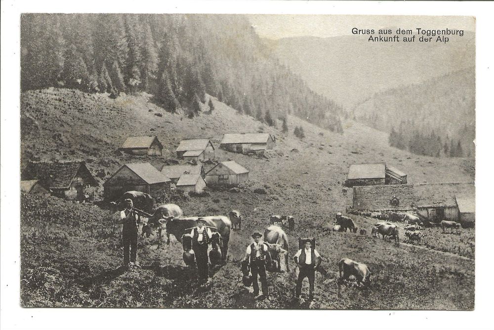 Gruss aus dem Toggenburg SG Ankunft auf der Alp Nesslau 1912 | Kaufen auf Ricardo