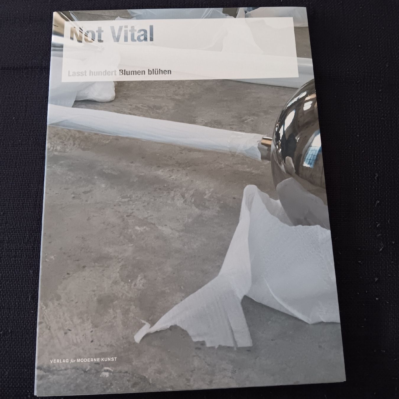 Not Vital Lasst 100 Blumen blühen Kunstraum Dornbirn Katalog (Gebraucht ...