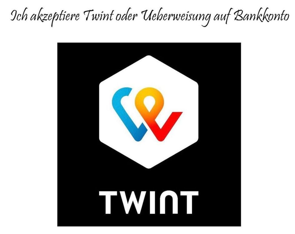 Samuel Buri - Original Bild 45 x 78 cm (Gebraucht) in Brunnadern für ...