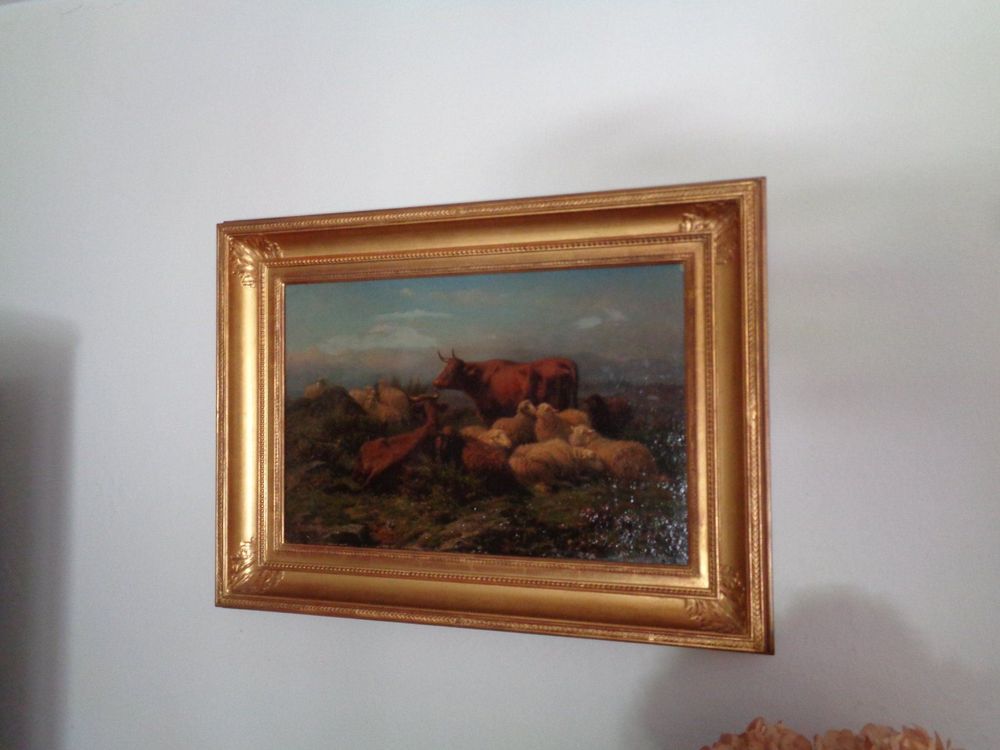 August Friedrich Schenk-Schafe (Gebraucht) in Bubikon für CHF 606 – mit ...