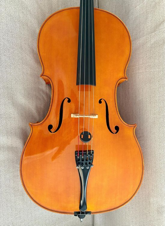 Italian Cello for Soloist (Gebraucht) in Neyruz FR für CHF 48000 – nur ...