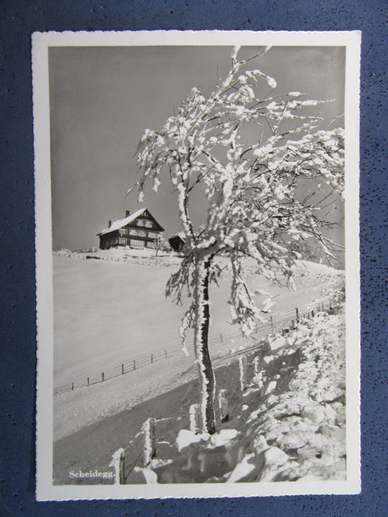 AK ZÜRICH WALD ALP SCHEIDEGG 1963 SCHNEE | Kaufen auf Ricardo