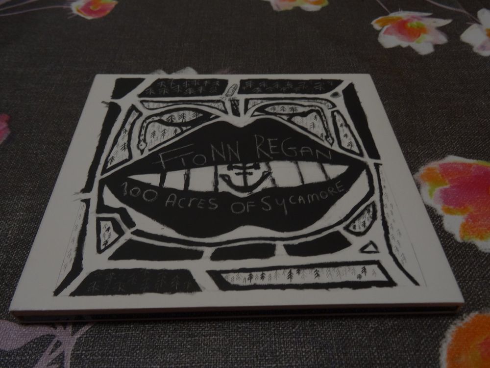 Fionn Regan - 100 Acres of Sycamore CD (Gebraucht) in Olten für CHF 4 ...