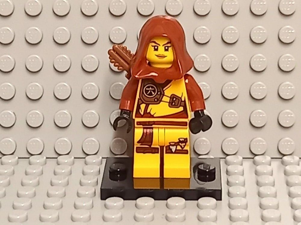 Lego Ninjago njo300 Skylor | Kaufen auf Ricardo